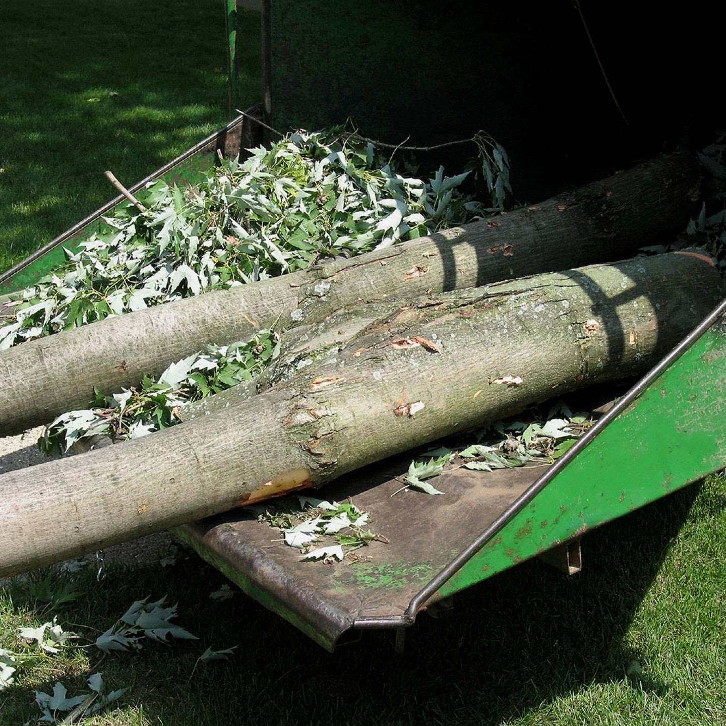 Debris Hauling Services | Ardmore, Columbia & Lawrenceburg, TN ...